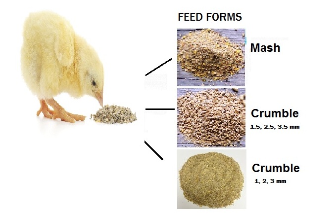 Volume 7 : Issue 2, March 2017