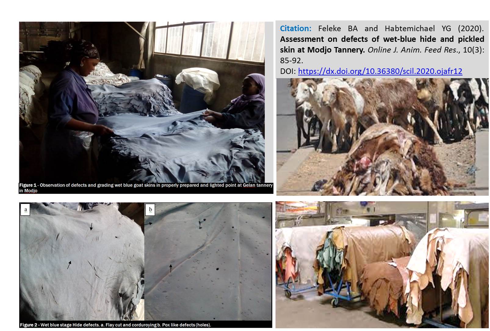 Volume 10 : Issue 3, May 2020